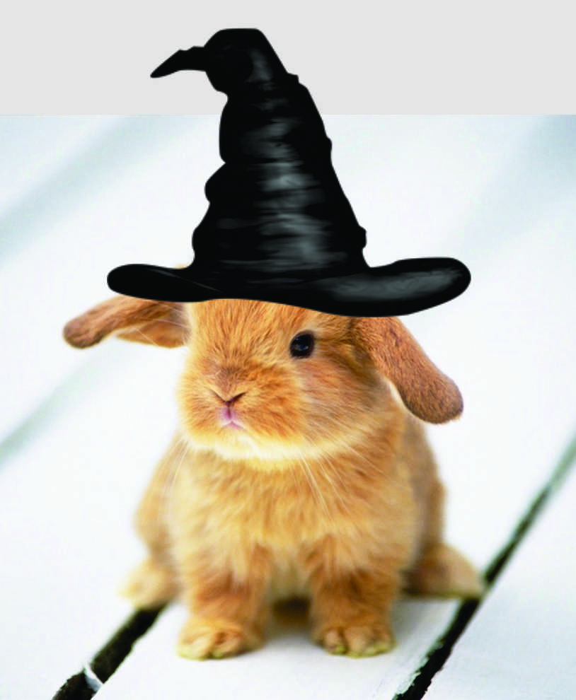 Entity Banishment Experience – Memory Eating Astral Insects – part 4 ...