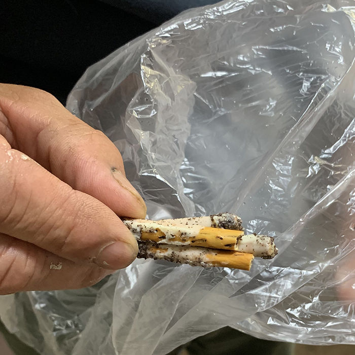 Valentine’s Cigarette Butts – Temple of Zagan