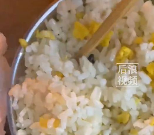 Mouse Turd in Fried Rice – Eaten by the Restaurant Owner Himself ...