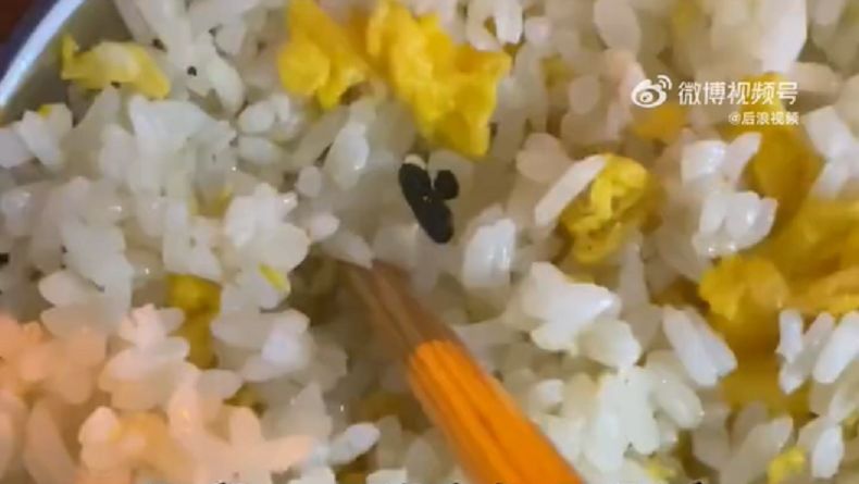 Mouse Turd in Fried Rice – Eaten by the Restaurant Owner Himself ...